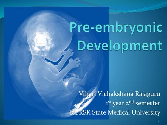 Embryo | PPT