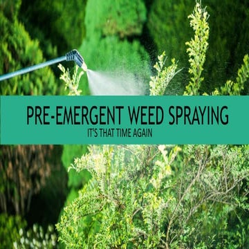 Pre-Emergent Weed Spraying - It's That Time Again | PPT