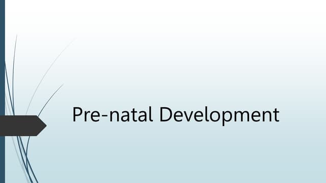 Pre natal development | PPT