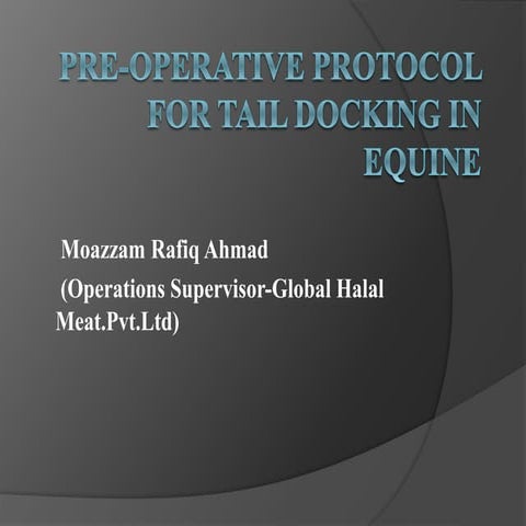 Pre operative protocol for tail docking in equine | PPTX