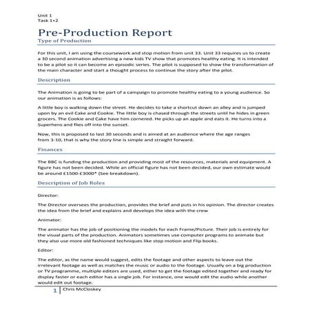 Pre production report | DOCX