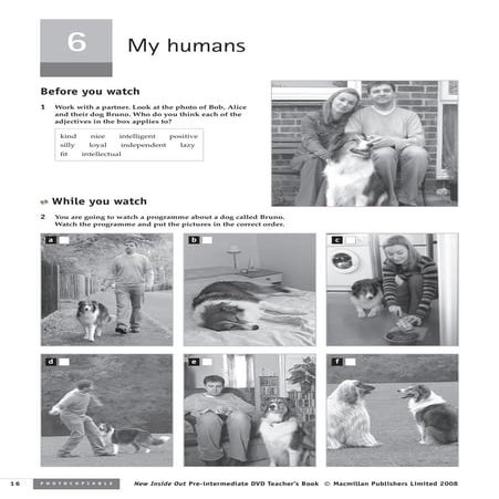 My humans - worksheet | PDF
