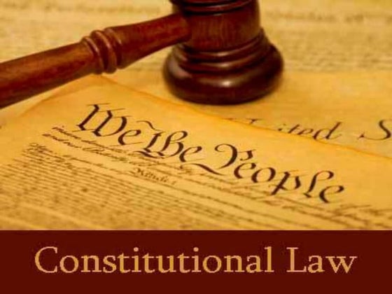 Principles of the Constitution | PPTX | Civic affairs | Politics
