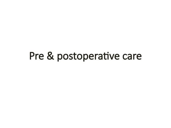 Endoscopy Nursing Interventions: Protocols for Pre-, Intra-, and Post ...