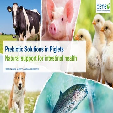 Microbiota management - Key to unlocking your feed potential | PDF