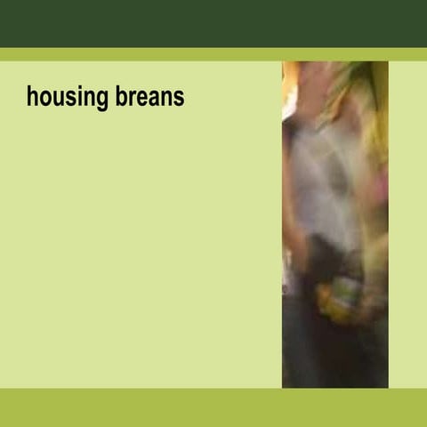 Case Study: Redevelopment Strategies of Brea, CA | PPT