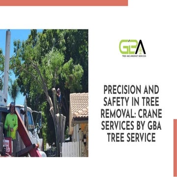Precision and Safety in Tree Removal: Crane Services by GBA Tree ...