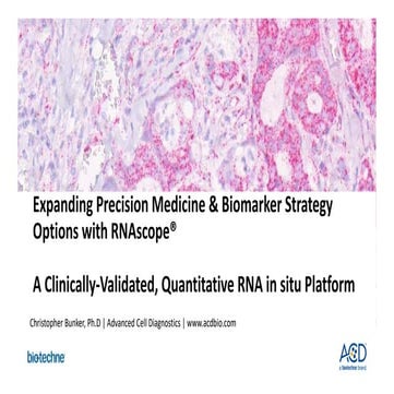 Expanding Precision Medicine & Biomarker Strategy Options with RNAscope ...