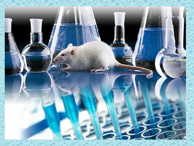 General principle of preclinical screening | PPTX