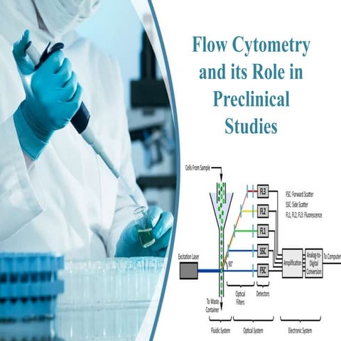 Preclinical Studies | PPTX