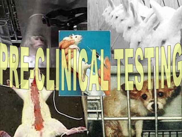Pre Clinical Studies | PPTX