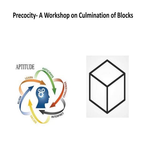 Precocity - A Workshop on Culmination of Blocks.pptx