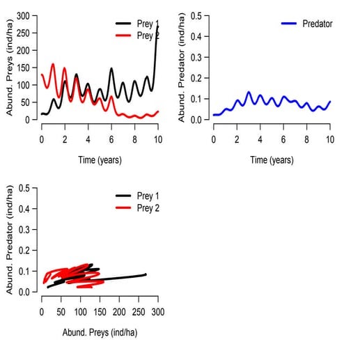 Animation of predator prey interactions | PPT