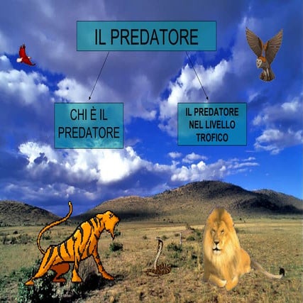 Predatore3 | PPT