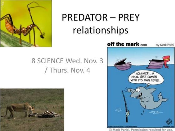 Terrestrial and Aquatic Food Chains | PPT