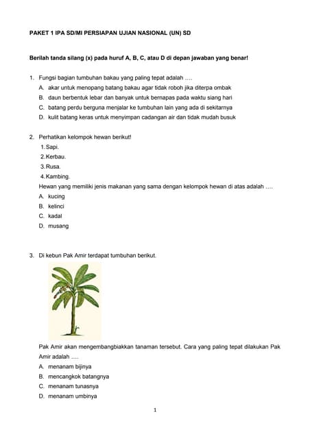 Latihan soal ujian nasional matematika sd | PDF