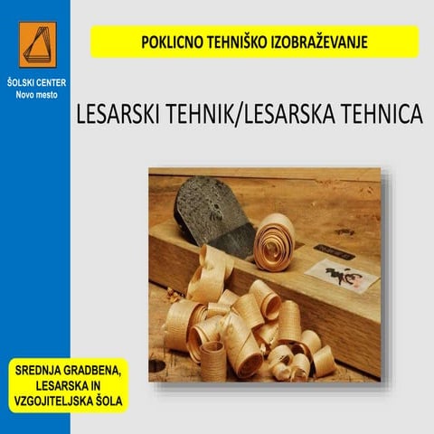 Lesarski tehnik PTI | PPTX