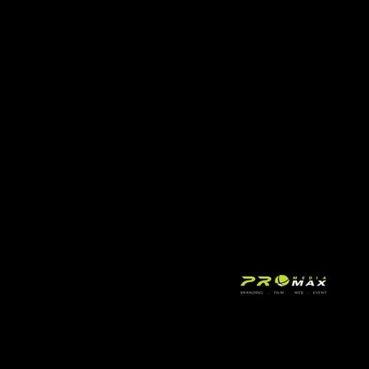 Promax Profile | PDF