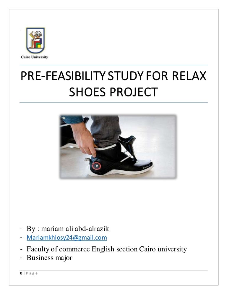 Pre-feasibility study