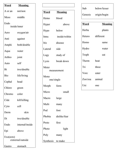 Prefix suffix worksheet | DOC | Biological Sciences | Science