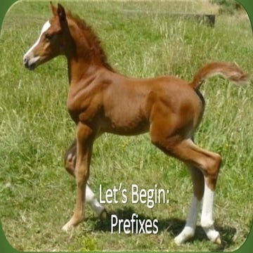 Prefixes | PPTX
