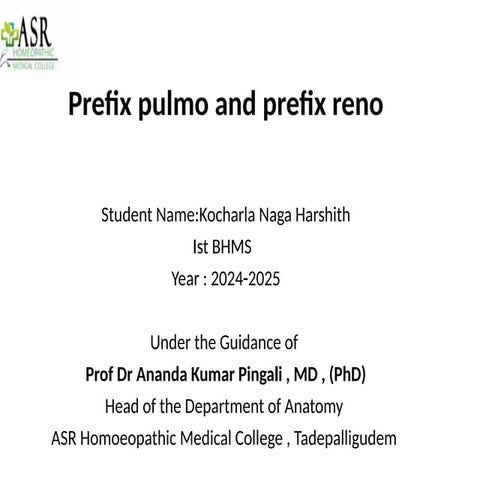 Presentation of prefix pulmo and prefix reno | PPT