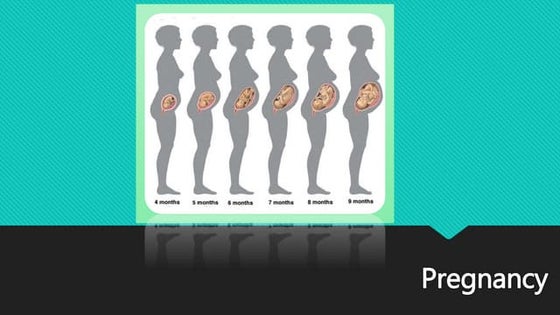 Pregnancy | PPTX