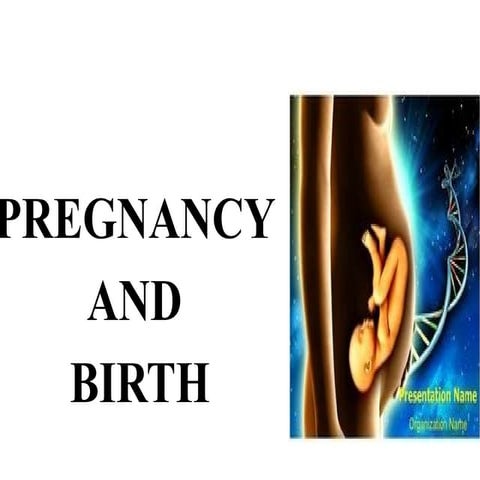 Pregnancy and birth different stages of development | PPTX