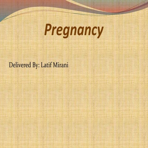 Pregnancy, conception and-birth | PPT