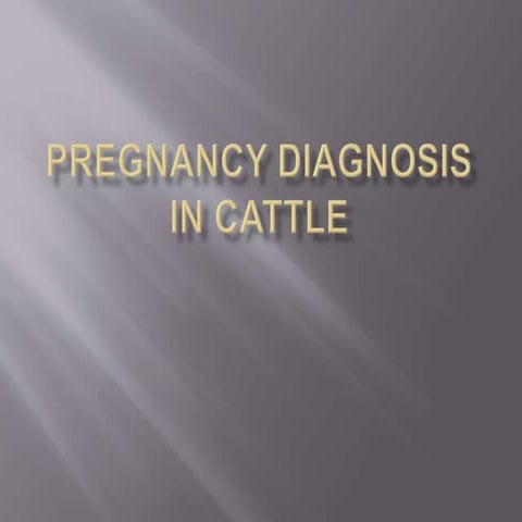 Pregnancy diagnosis in cattle | PPTX