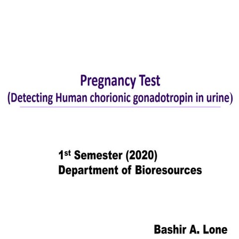 PregnancyTesting.pdf | Pregnancy | Reproductive Health
