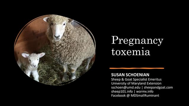 The Five Point Check® | PPTX