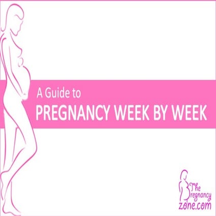 Pregnancy Week By Week Guide | PDF