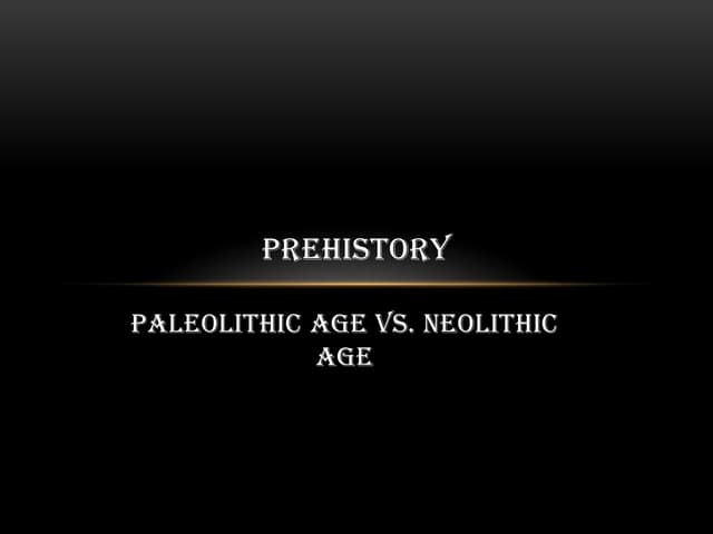 Stone Age Palaeolithic Period