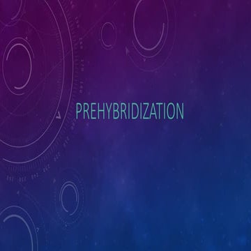 prehybridization(1) (3) steps of dna extraction .pptx