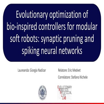 Giorgianadizar presentations