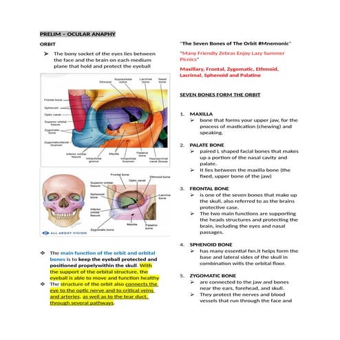 Eyebrows Anatomy . | PPTX