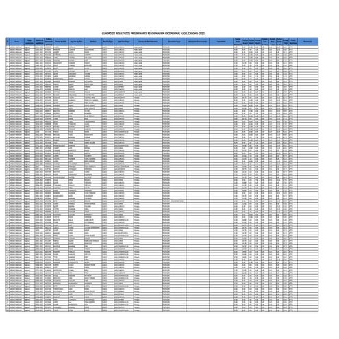 PRELIMINAR-REASIGNACION-EXCEPCIONAL.pdf