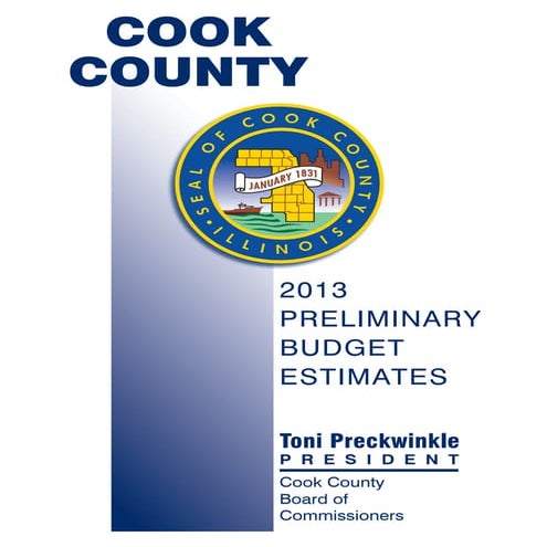 2013 Cook County Preliminary Budget | PDF