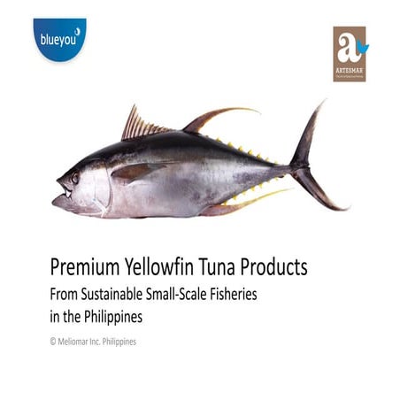 Premium Quality Sashimi Tuna by Artesmar | PDF