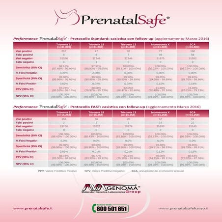 Prenatal Safe | PDF