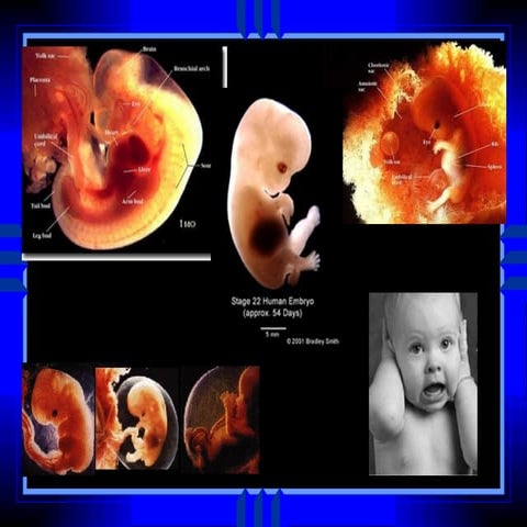 Antenatal care | PPTX