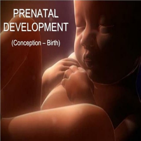 ALL ABOUT PRENATAL AND BIRTH. .pptx