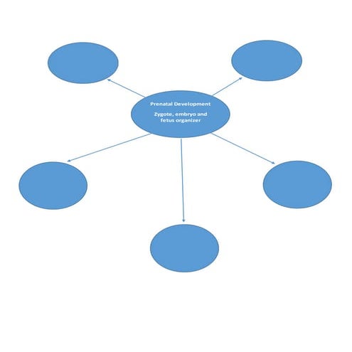 prenatal concept map.docx