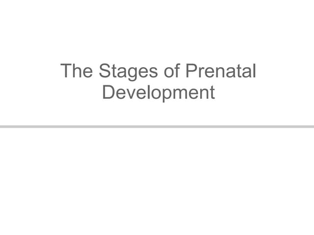 Stages of Prenatal Development | PPT