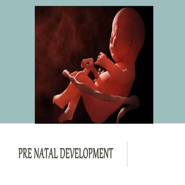 Pre Natal Development.pptx