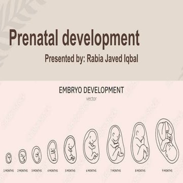 Prenatal development in developmental psychology | PPTX