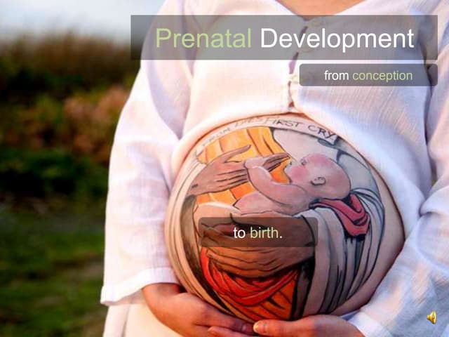 Stages of Prenatal Development | PPT