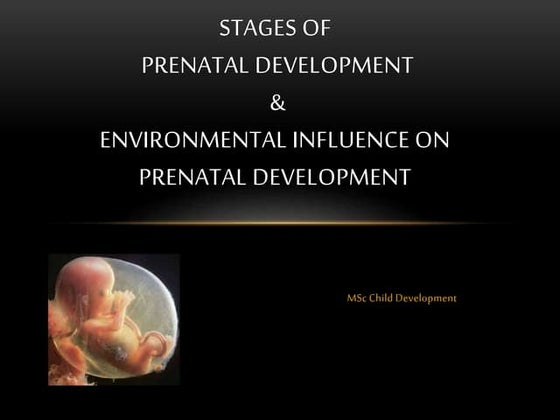 Fetal development | PPT