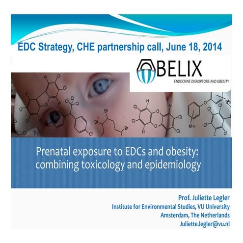 Prenatal Exposure to Mixtures of Endocrine Disrupting Chemicals and its ...